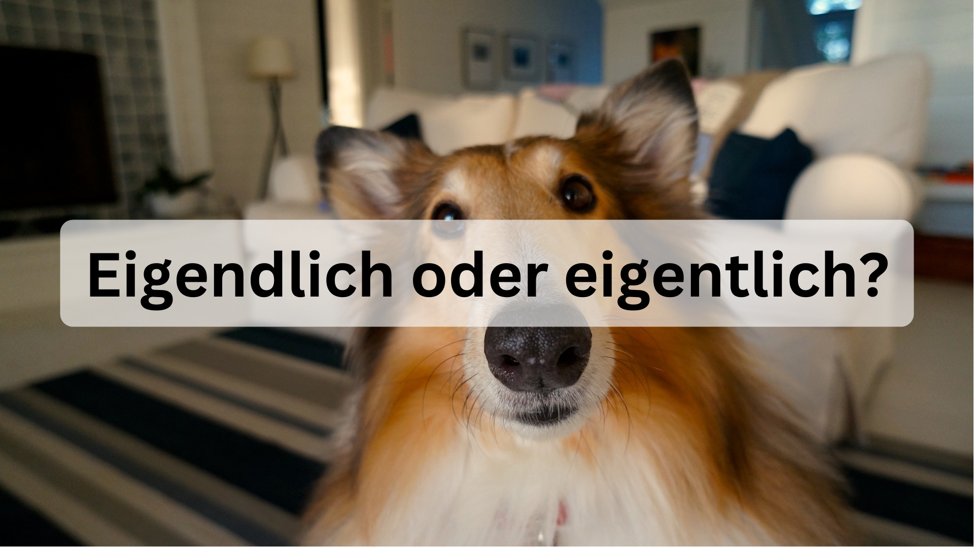 eigendlich oder eigentlich? - die Schreibweise 2024