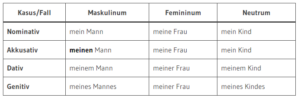 mein oder meinen? - Die richtige Verwendung (Akkusativ, Nominativ)